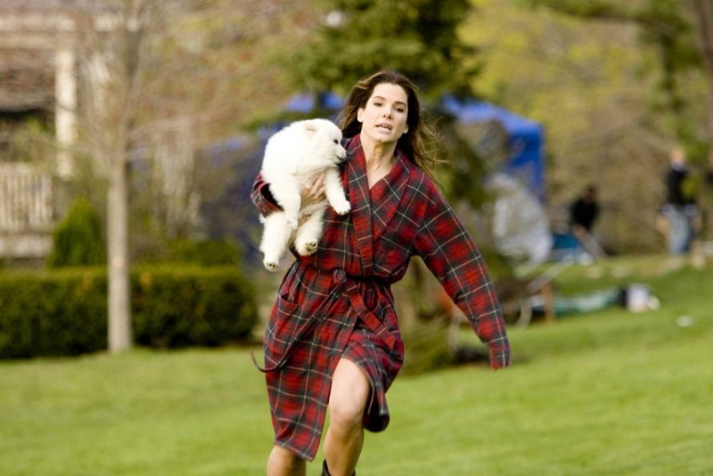 Sandra Bullock in una scena della commedia Ricatto d'amore: 120670 ... Sandra Bullock in una scena della commedia Ricatto d'amore: 120670 ...