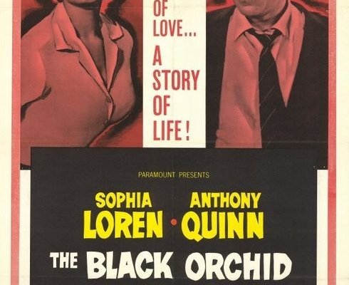 Orchidea Nera (Film 1958): trama, cast e dove vederlo - Movieplayer.it