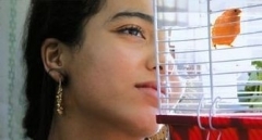 Recensione Cous cous (2007)