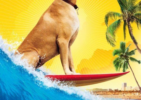 Sansone (Film 2010): trama, cast e dove vederlo - Movieplayer.it