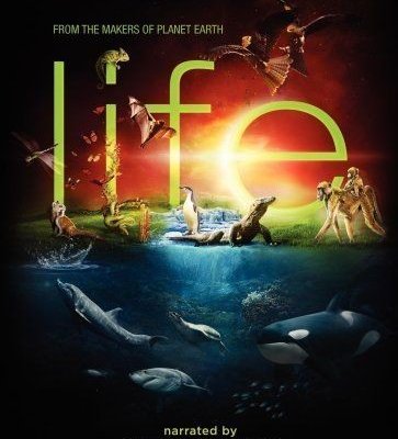 Life (Serie TV 2009): trama, cast, foto - Movieplayer.it