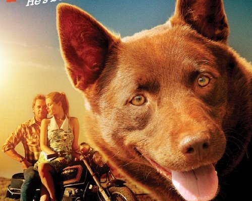 Red Dog (Film 2011): trama, cast e info - Movieplayer.it
