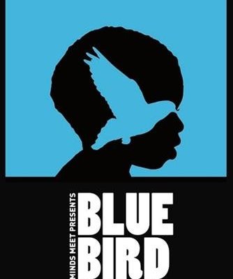 Blue Bird (Film 2011): trama, cast, foto, news - Movieplayer.it