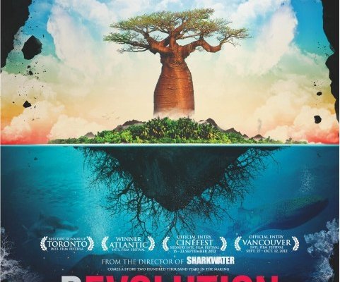 Revolution (Film 2012): trama, cast e info - Movieplayer.it