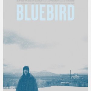 Bluebird (Film 2013): trama, cast, foto - Movieplayer.it