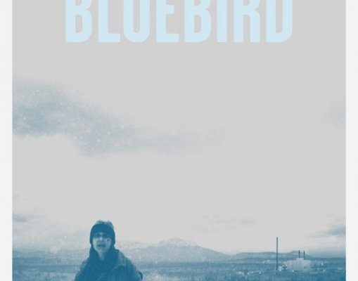 Bluebird (Film 2013): trama, cast, foto - Movieplayer.it
