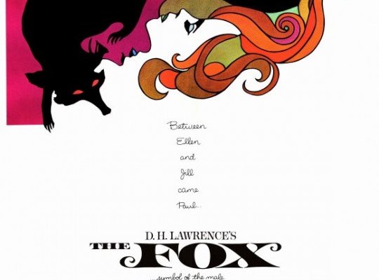 La volpe (Film 1967): trama, cast e info - Movieplayer.it