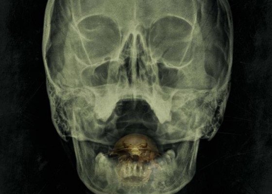 The Bay (Film 2012): trama, cast e info - Movieplayer.it