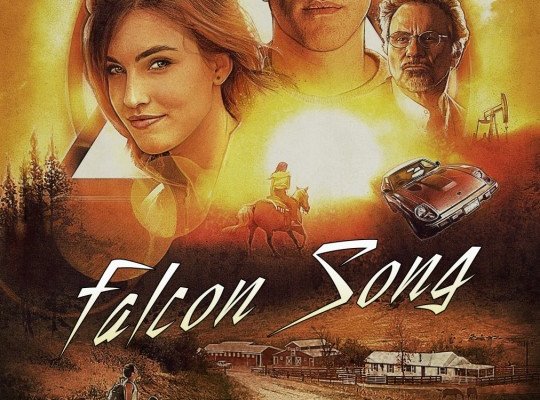 Falcon Song (Film 2014): trama e info - Movieplayer.it
