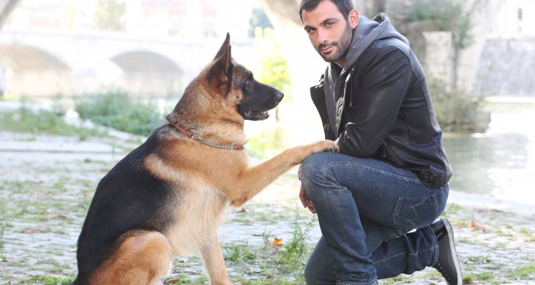 Il commissario Rex (1994) - Serie TV - Movieplayer.it