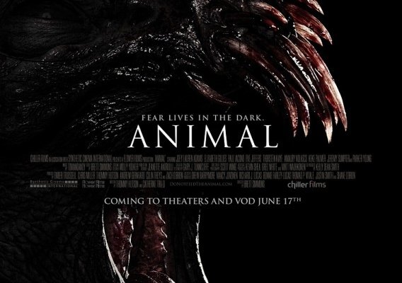 Animal (Film 2014): cast, foto - Movieplayer.it