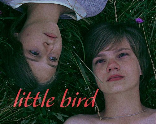 Little Bird (Film 2015): trama, cast, foto, news - Movieplayer.it