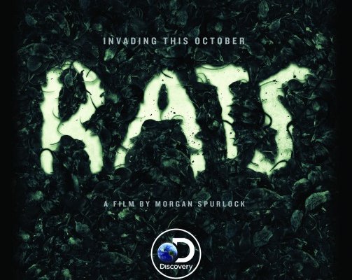 Rats (Film 2016): trama, cast e info - Movieplayer.it