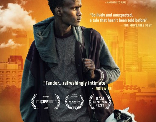 A Stray (Film 2016): trama e info - Movieplayer.it