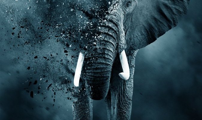 The Ivory Game (Film 2016): trama, cast e dove vederlo - Movieplayer.it