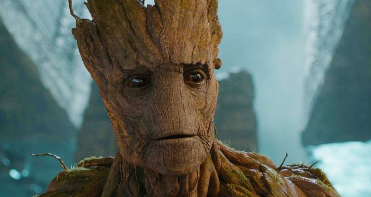 Avengers: Infinity War conterrà un combattimento tra Groot e Hulk ...