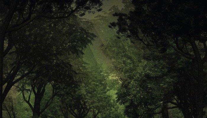 Killing Ground (Film 2016): trama e info - Movieplayer.it