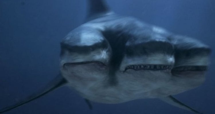 3-Headed Shark Attack (2015) - Film - Movieplayer.it