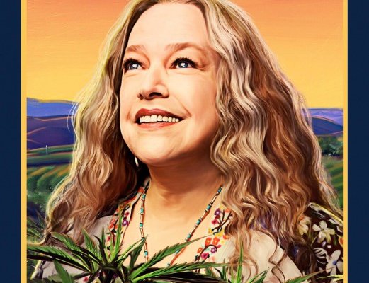 Disjointed (Serie TV 2017 - 2018): trama, cast e dove vederla ...