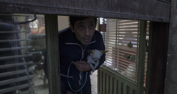 Marcello Fonte: ecco chi è il protagonista di Dogman di Matteo Garrone ...