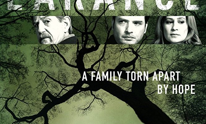 The Disappearance (Serie TV 2017 - 2017): trama, cast e dove vederla ...