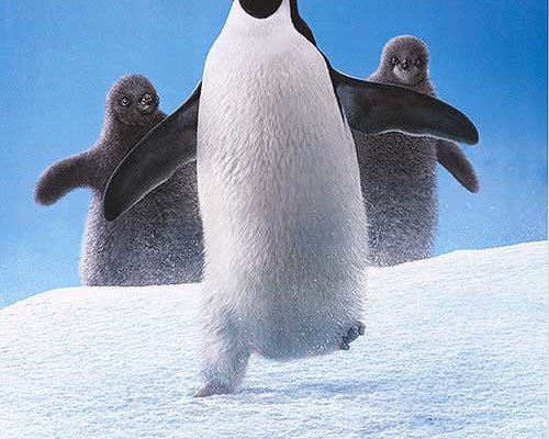 Penguins (Film 2019): trama e dove vederlo - Movieplayer.it