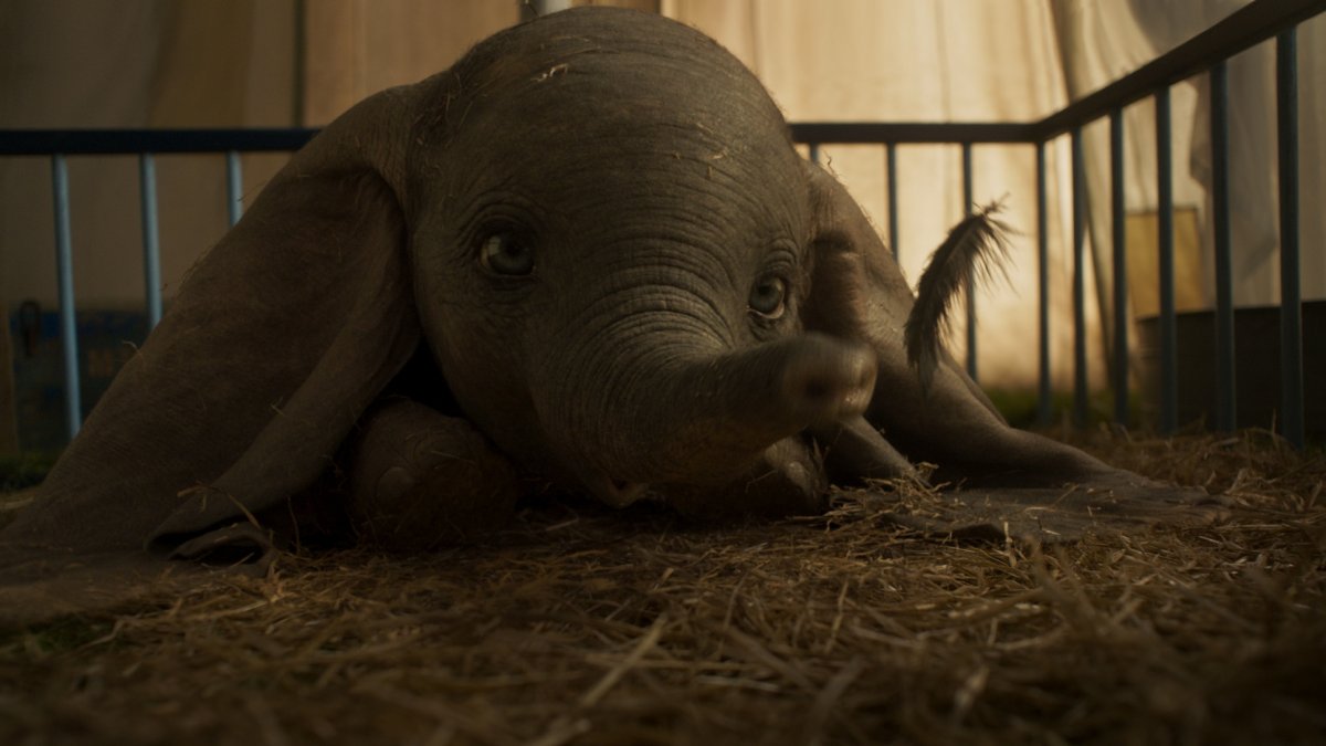 Dumbo: intervista a Richard Stammers - Movieplayer.it