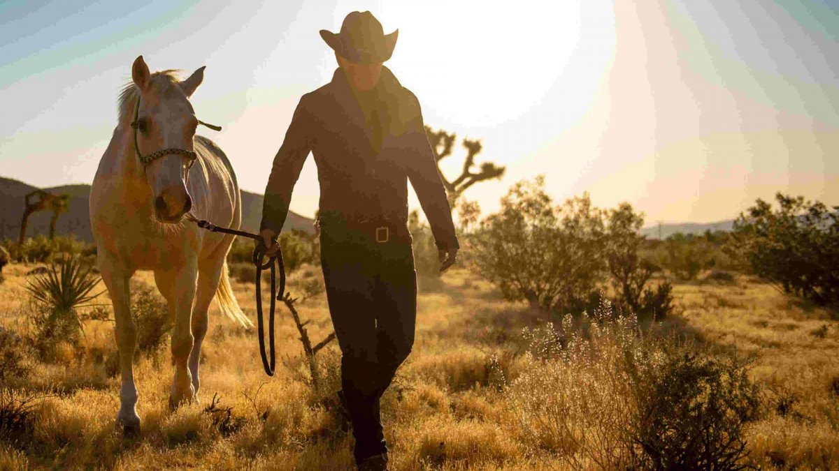 Western Stars, la recensione - Movieplayer.it