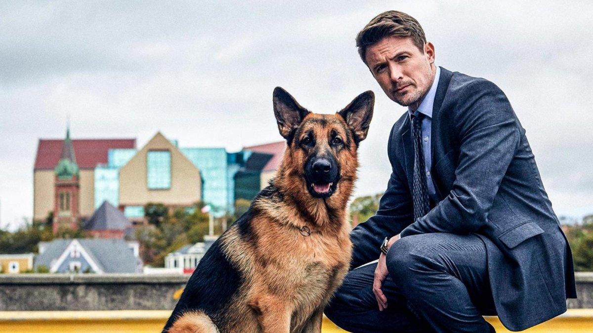 Hudson & Rex: il cane della serie è un "discendente" del primo ...