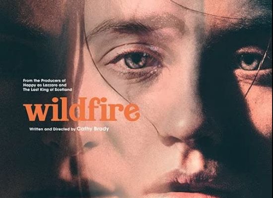 Wildfire (Film 2020): trama, cast, foto, news - Movieplayer.it