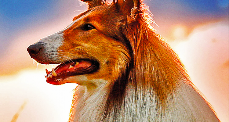 Lassie torna a casa, la recensione - Movieplayer.it
