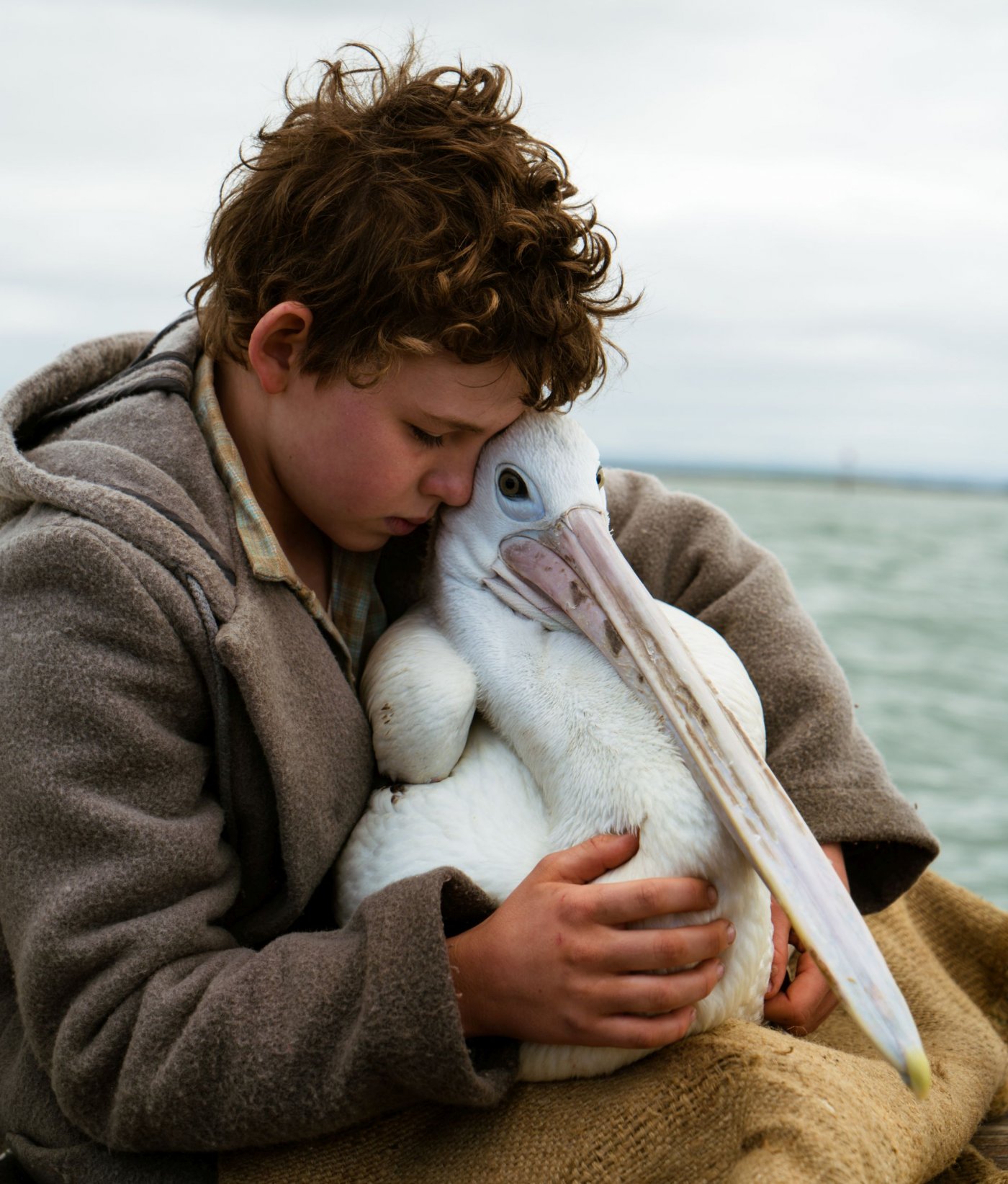 Storm Boy - Il ragazzo che sapeva volare, trama e cast del film di ...