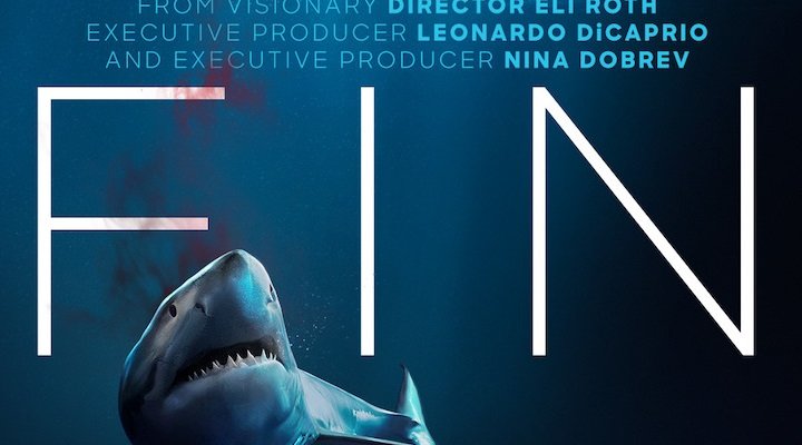 Fin - La mattanza degli squali (Film 2021): trama, cast e info ...