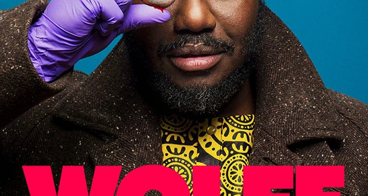 Professor Wolfe (Serie TV 2021): trama, cast e info - Movieplayer.it