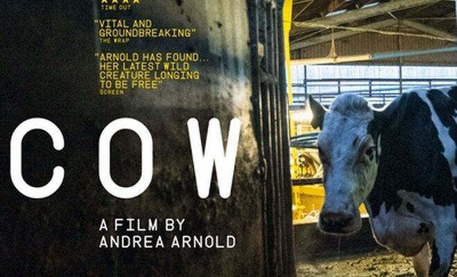 Cow (Film 2021): trama, cast e dove vederlo - Movieplayer.it