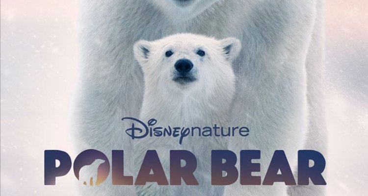 Polar Bear (Film 2022): trama, cast, foto, news - Movieplayer.it