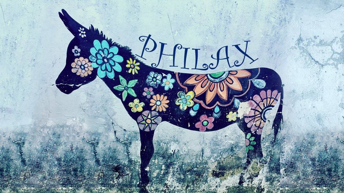 Philax della regista curda Ruken Takes unico film con coproduzione ...