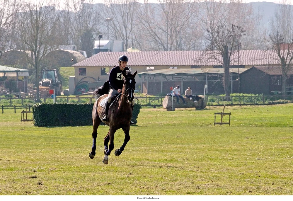 Brado, la recensione: Tra western e dramma familiare - Movieplayer.it