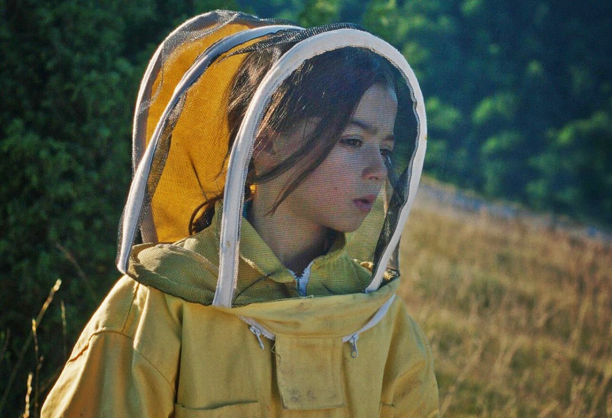20 000 Species Of Bees La Recensione Crescere Capire Se Stessi