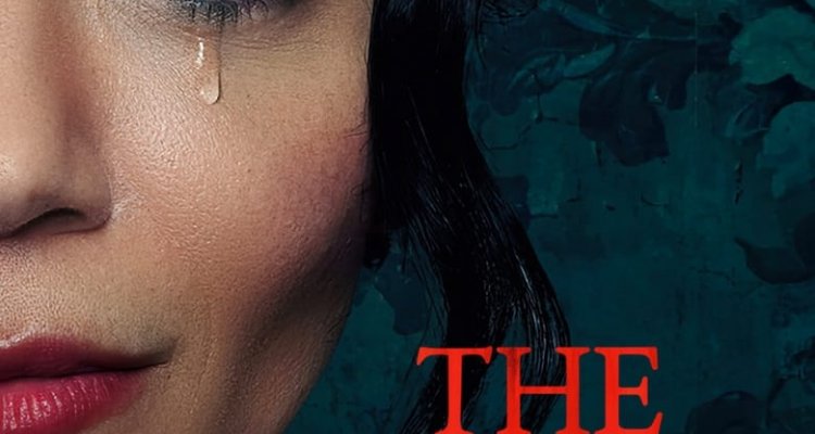 The Strays (Film 2023): trama e dove vederlo - Movieplayer.it