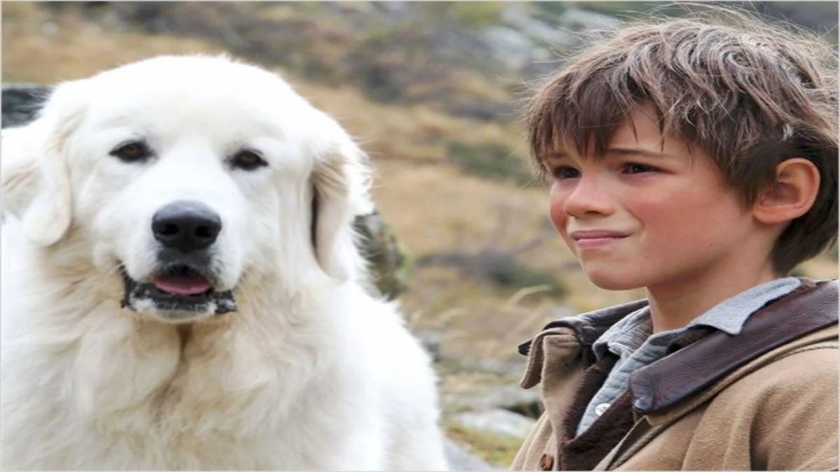 Belle & Sebastien: trama e cast del film in onda stasera 10 aprile su ...