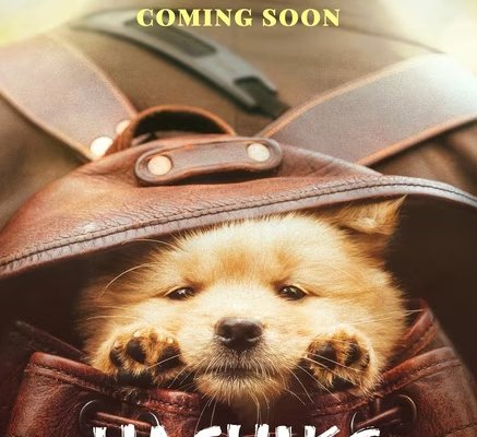 Hachiko (Film 2023): trama, cast e info - Movieplayer.it