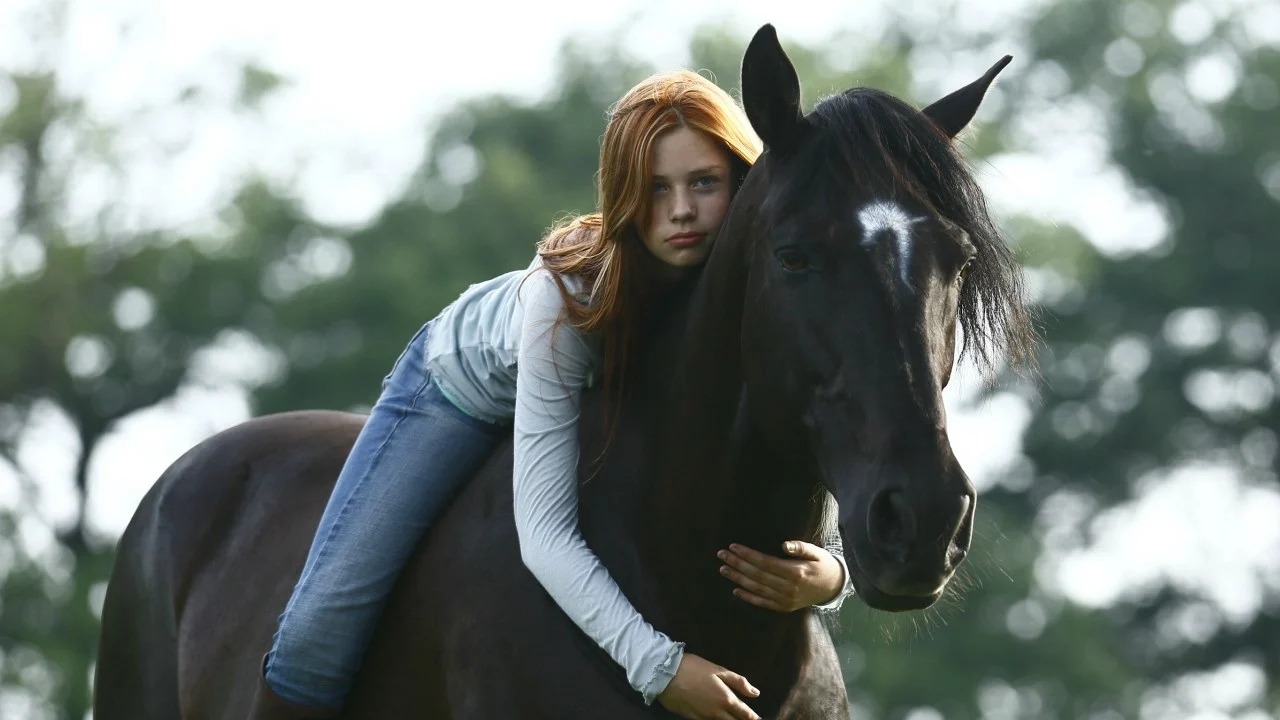 Windstorm - Liberi nel vento, la recensione del film - Movieplayer.it