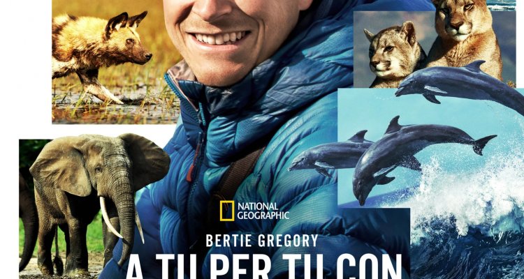 Bertie Gregory: a tu per tu con gli animali (Serie TV 2022 - 2023 ...