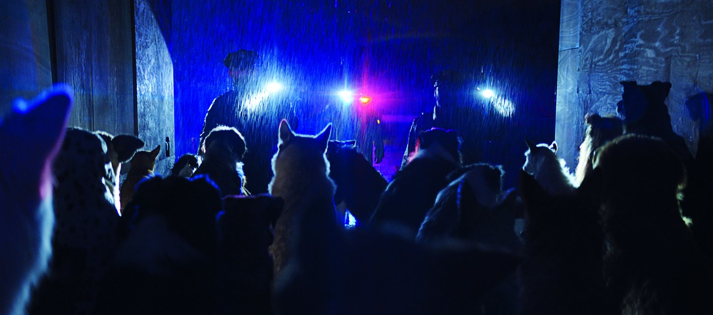 DogMan: ecco perché in 4K UHD il film di Luc Besson è ancora più bello ...