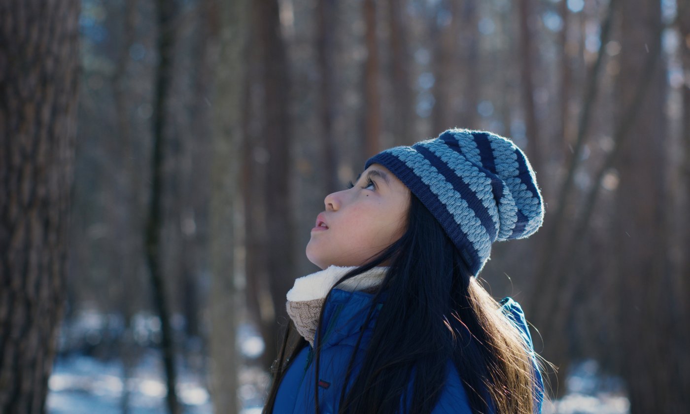 Il male non esiste, la recensione del film di Ryusuke Hamaguchi ...