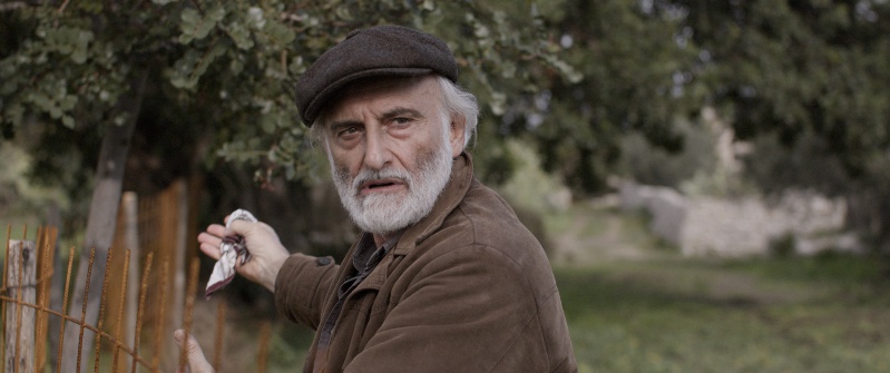 Gli agnelli possono pascolare in pace, la recensione del film con Maria ...