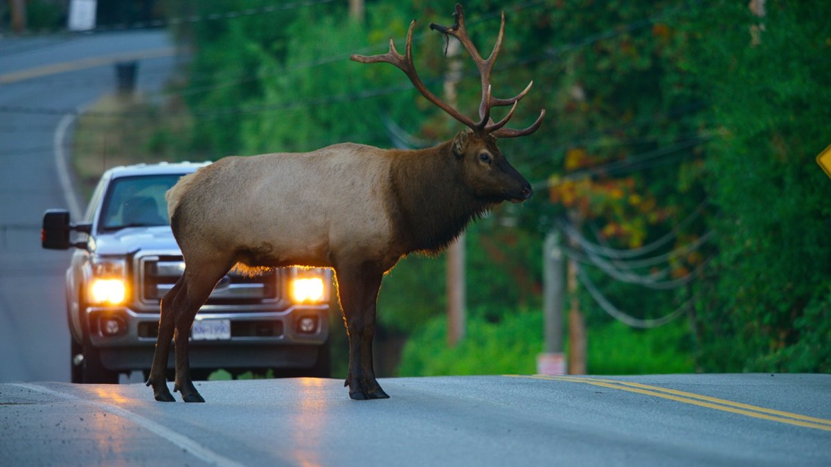Giornata della Terra 2024: Netflix celebra con la docuserie Un mondo di ...