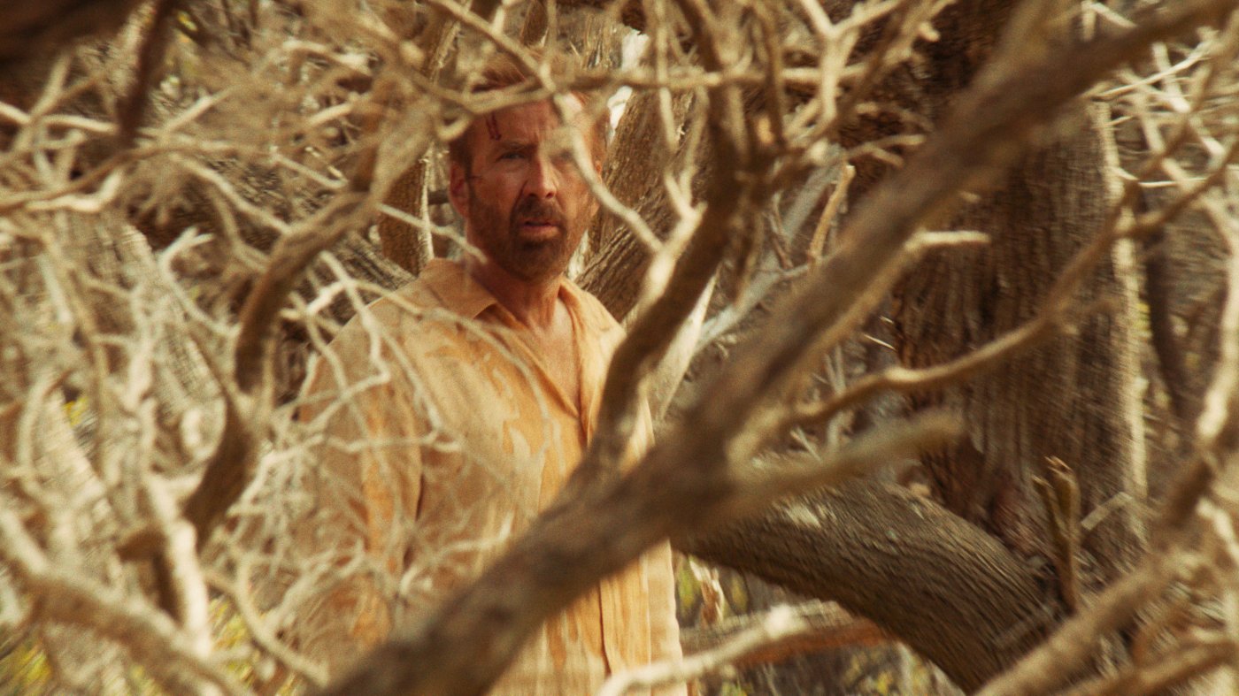 The Surfer: la recensione del film con Nicolas Cage da Cannes 2024 - Movieplayer.it