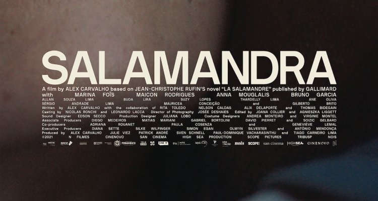 The Salamandre (Film 2021): trama, cast e info - Movieplayer.it